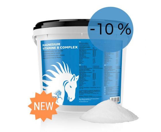 Magnesium Vitamin B complex | PharmaHorse